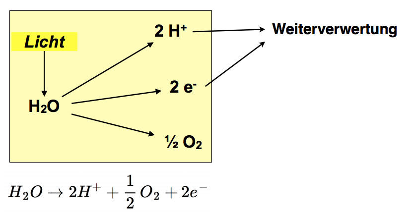 Photolyse; Photolyses