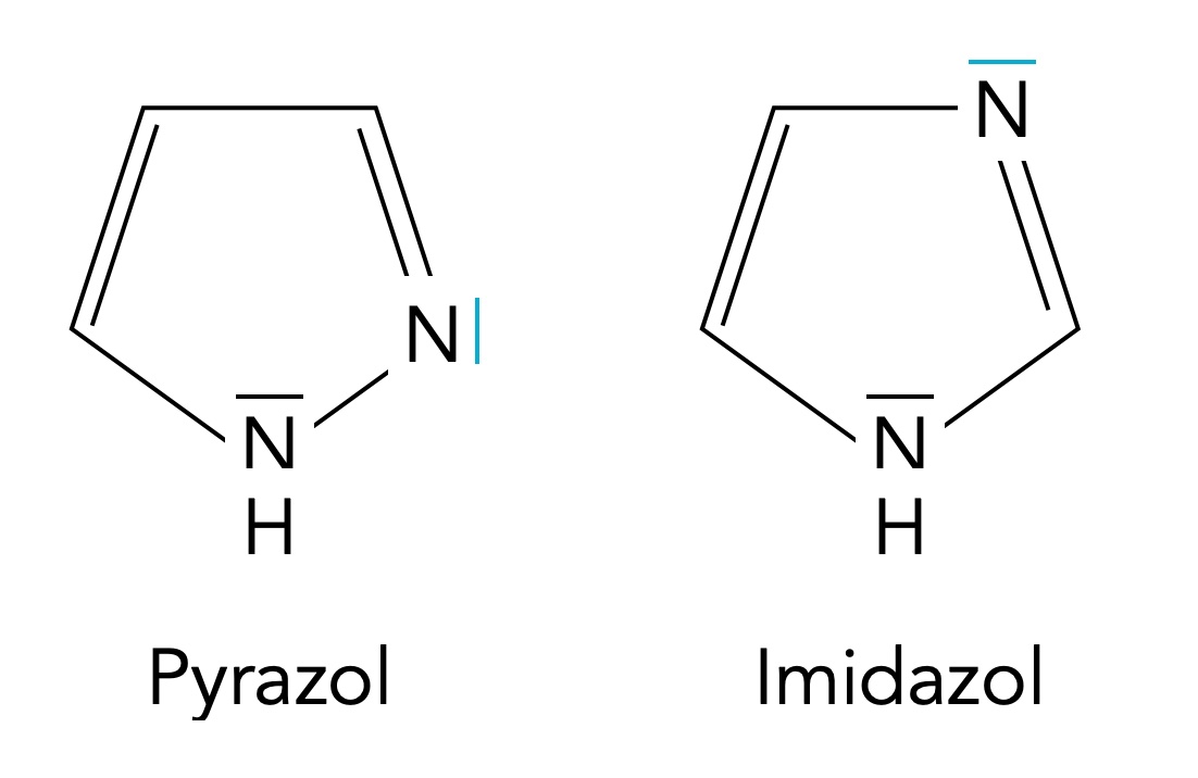 Heterocyclen: 8. fünfgliedrige Heterocyclen mit mehr als einem N-Atom